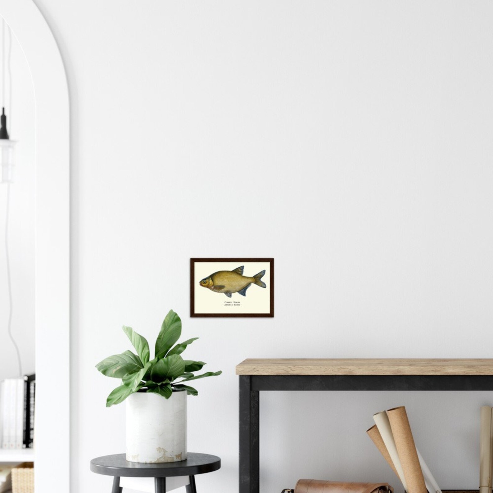 Wooden Framed Fish Illustration Design Print A4 Size (BREAM) Ideal ...
