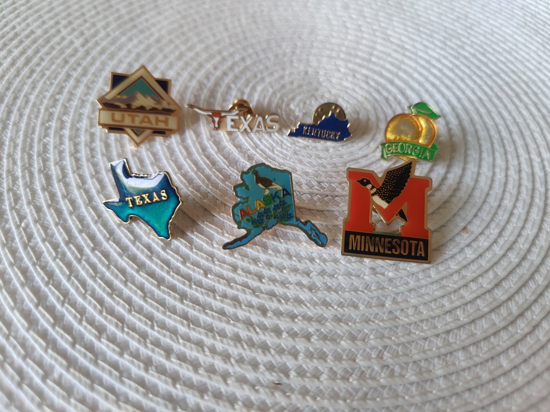 Vintage USA State Pins: Collectible Souvenir Lapel Pins - Etsy