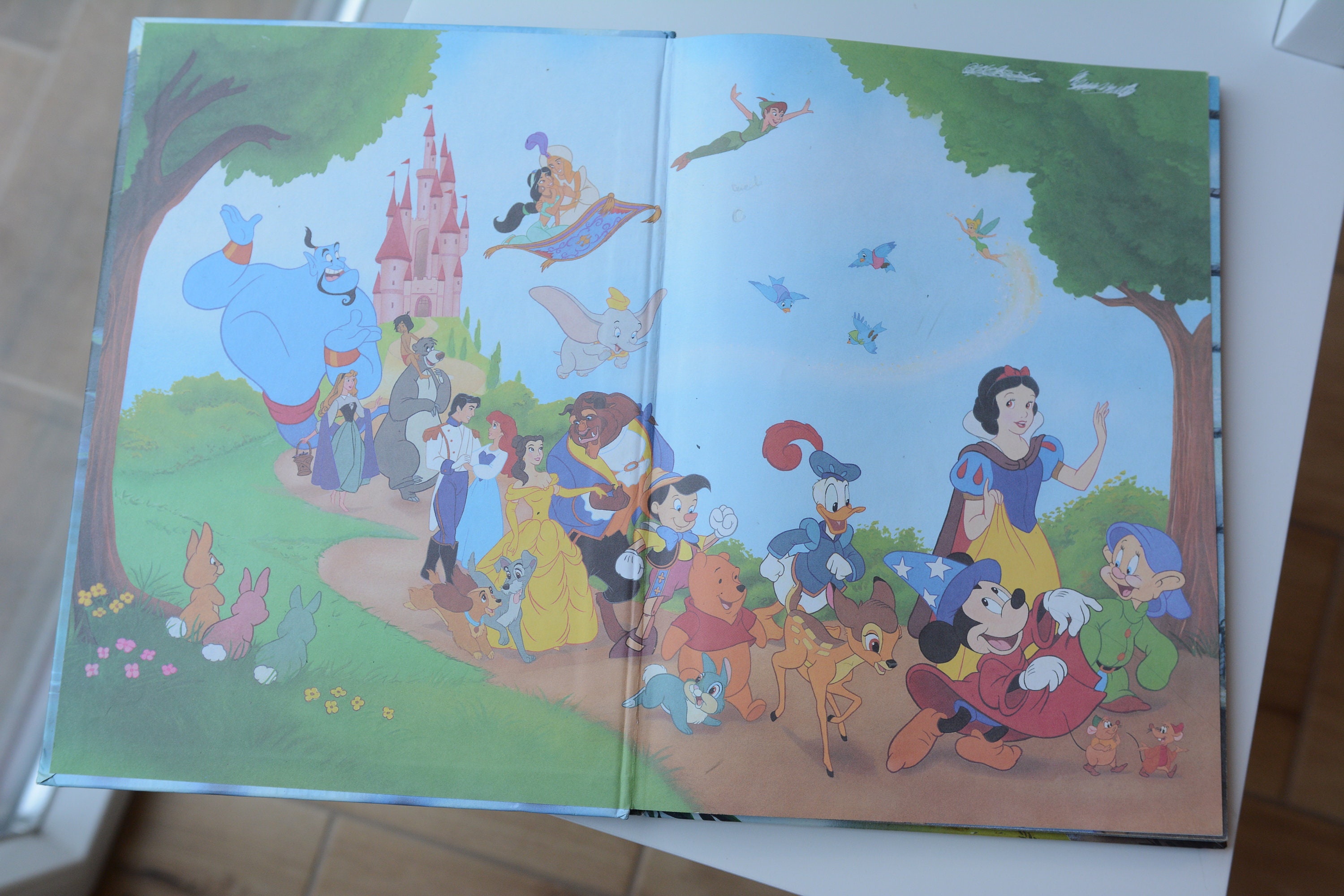 Vintage 1995 'pocahontas' Hardback Book From the Disney Classics ...