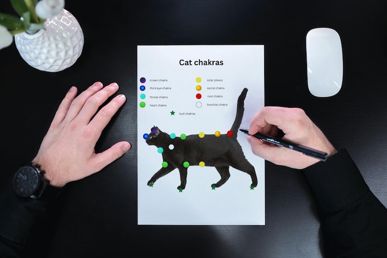 Cat Chakra Chart for Reiki Healing - Etsy