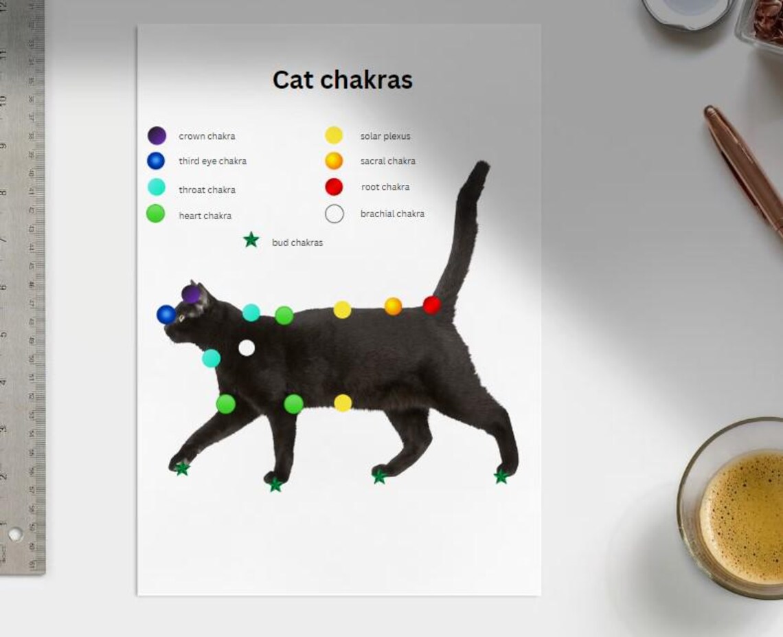 Cat Chakra Chart for Reiki Healing - Etsy
