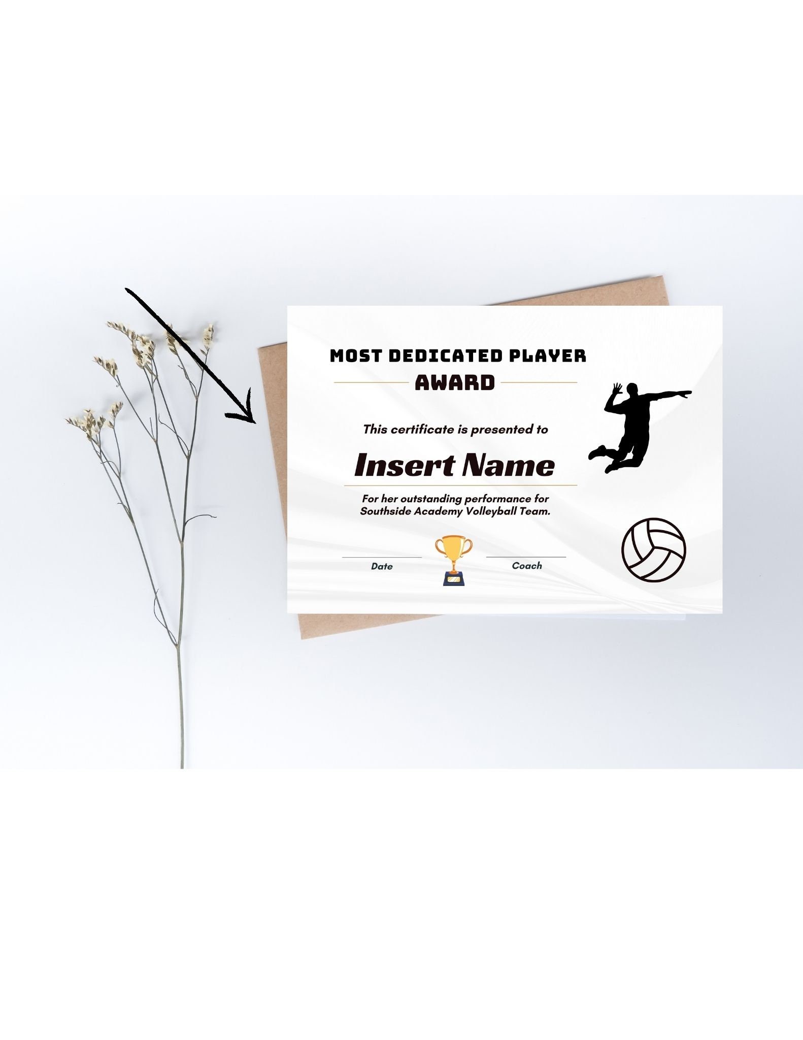 Volleyball Sports Certificates Volleyball Certificate Diploma With