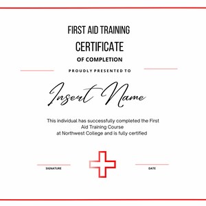 Editable Certificate of Completion First Aid Training - Etsy
