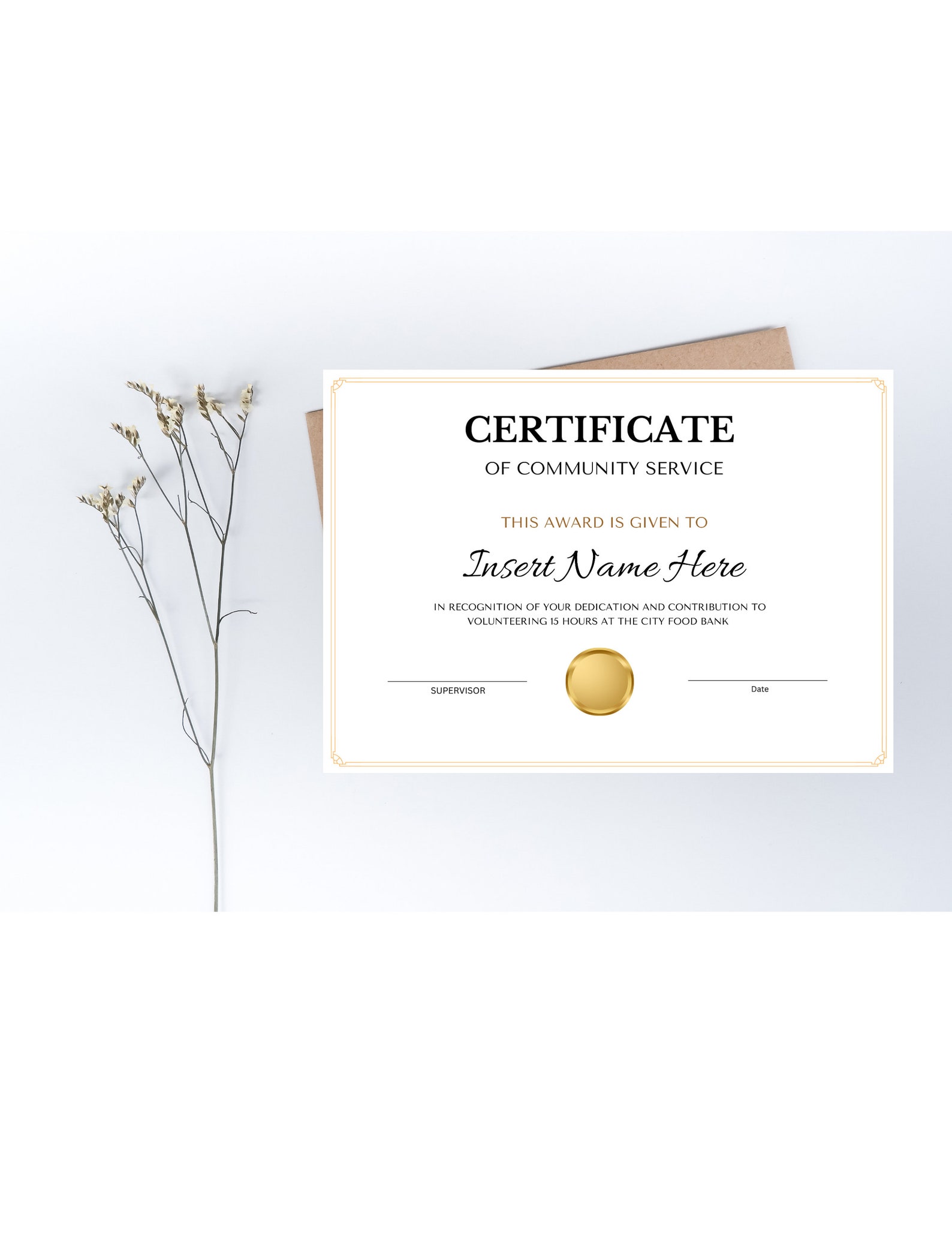Editable Community Service Certificate Template: Gold Border (canva) - Etsy