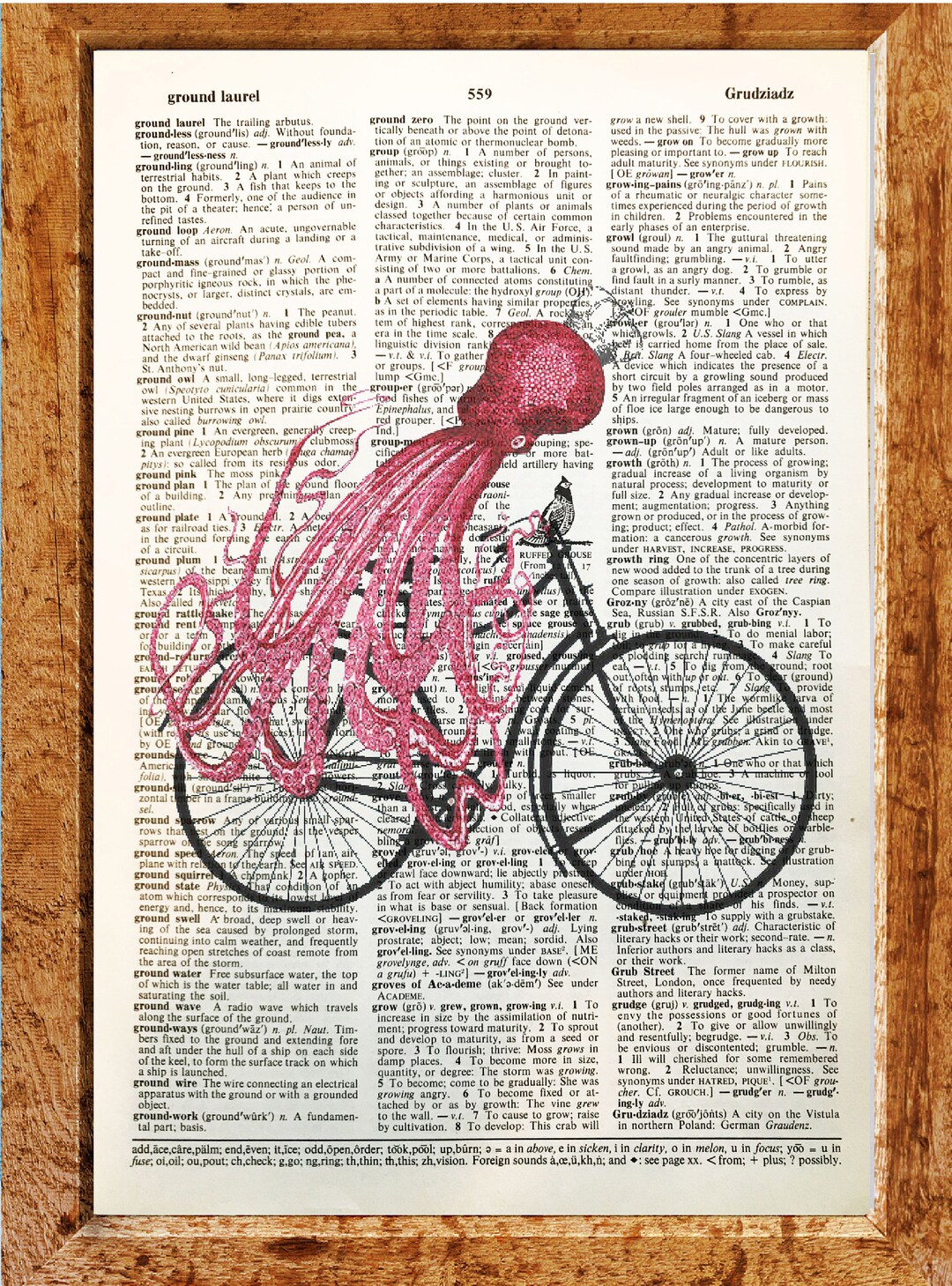 Octopus on a Bike Bikefunny Bike Artvintage Dictionary - Etsy