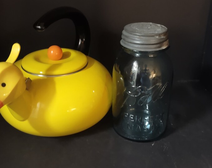 Whistling Duck Tea Kettle - Etsy