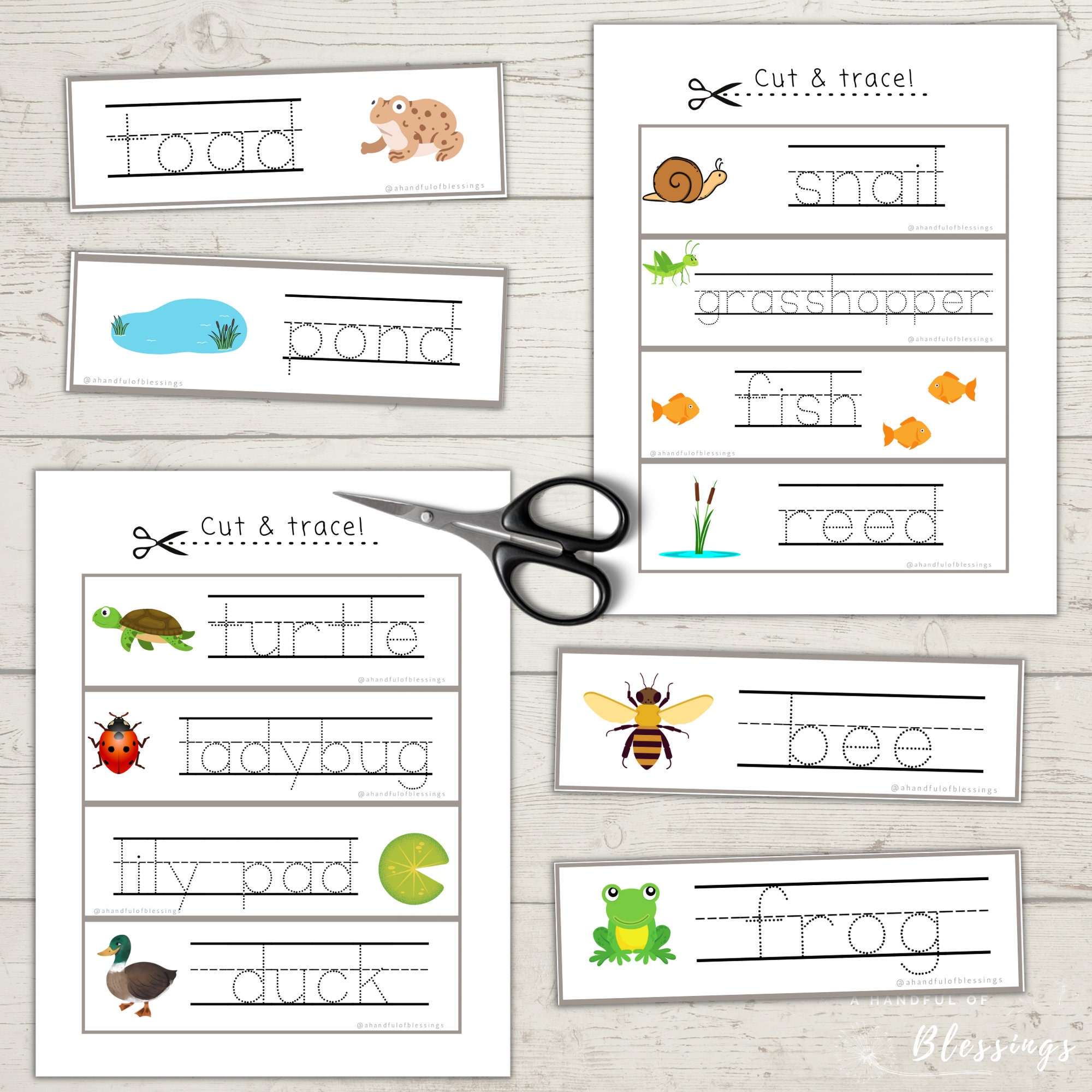 Five Little Frogs Early Years Math, Counting to 5, Tracing Numbers ...