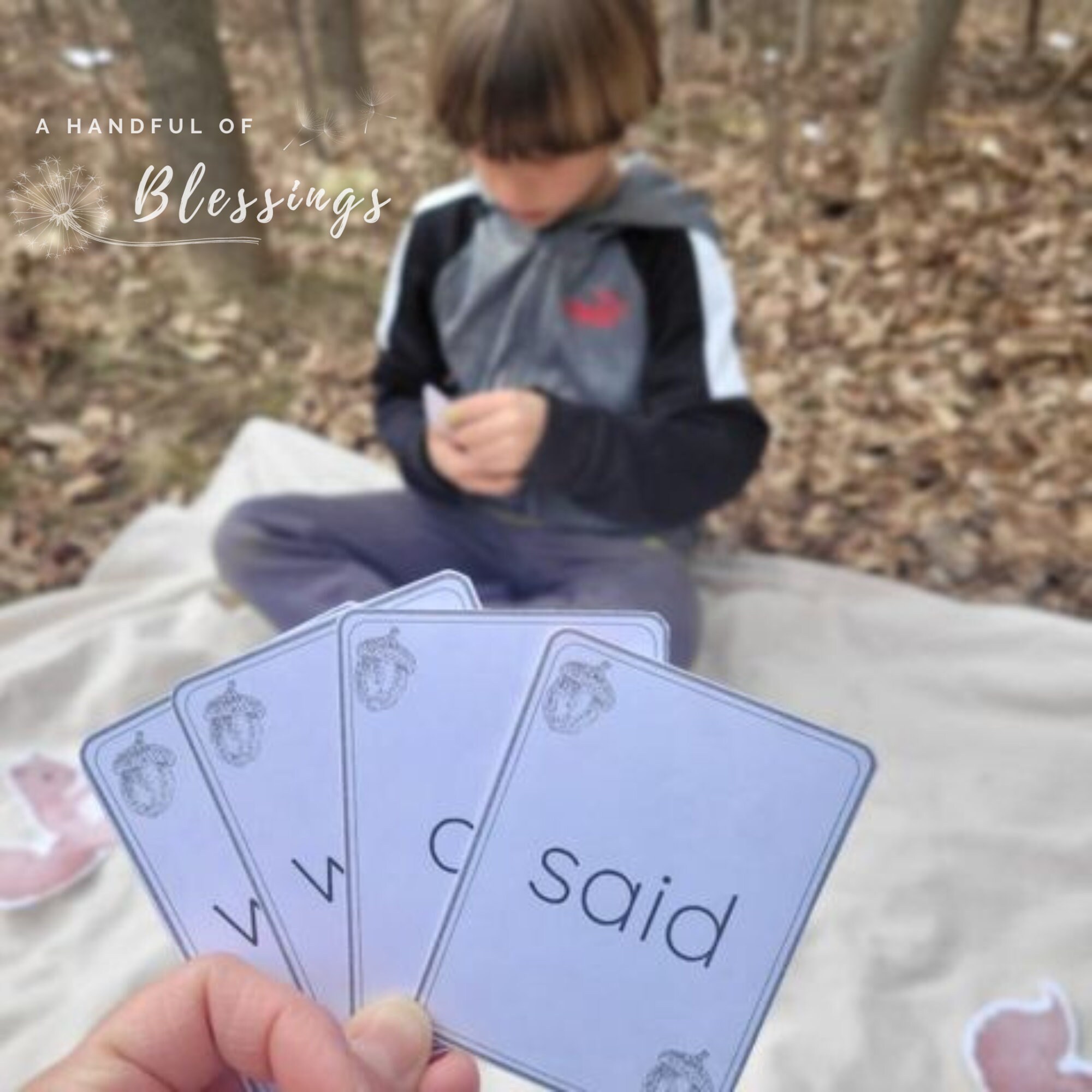 Go Nuts! Level 1 Sight Word Card Game | Fry First 100 Words, Printable ...