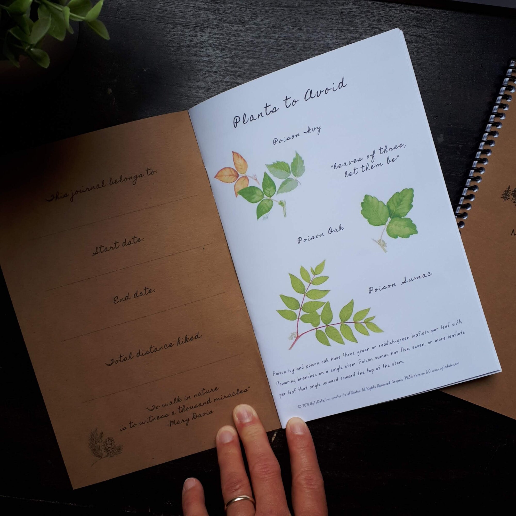 Mi diario de senderismo, CURSIVO, Cuaderno de senderos, Registro de ...