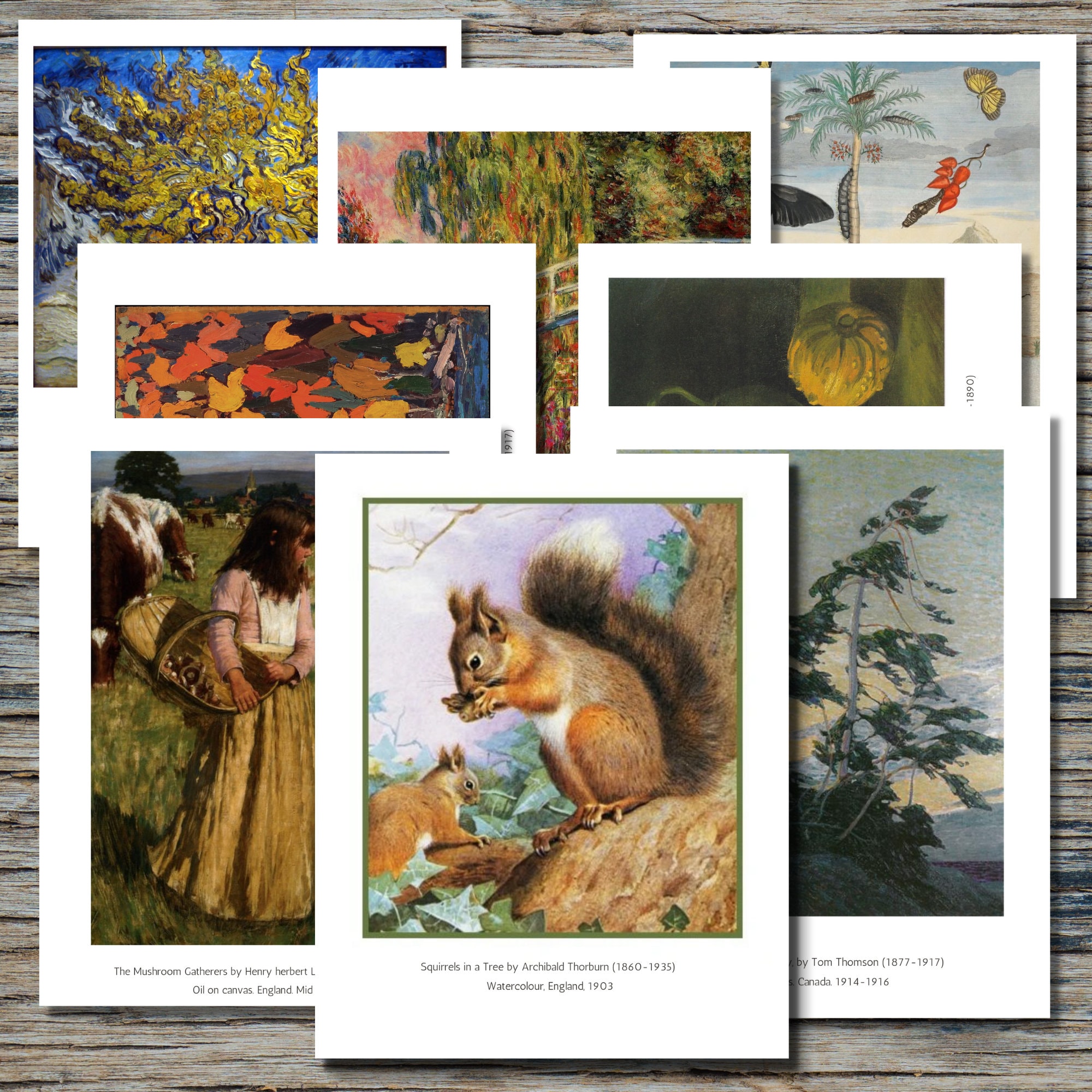 Seasonal Nature Art Study, Charlotte Mason, Homeschooling, Morning ...