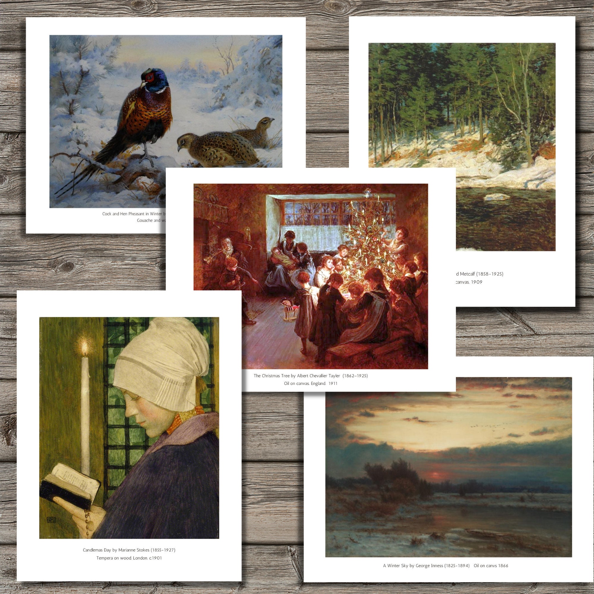 Seasonal Nature Art Study, Charlotte Mason, Homeschooling, Morning ...