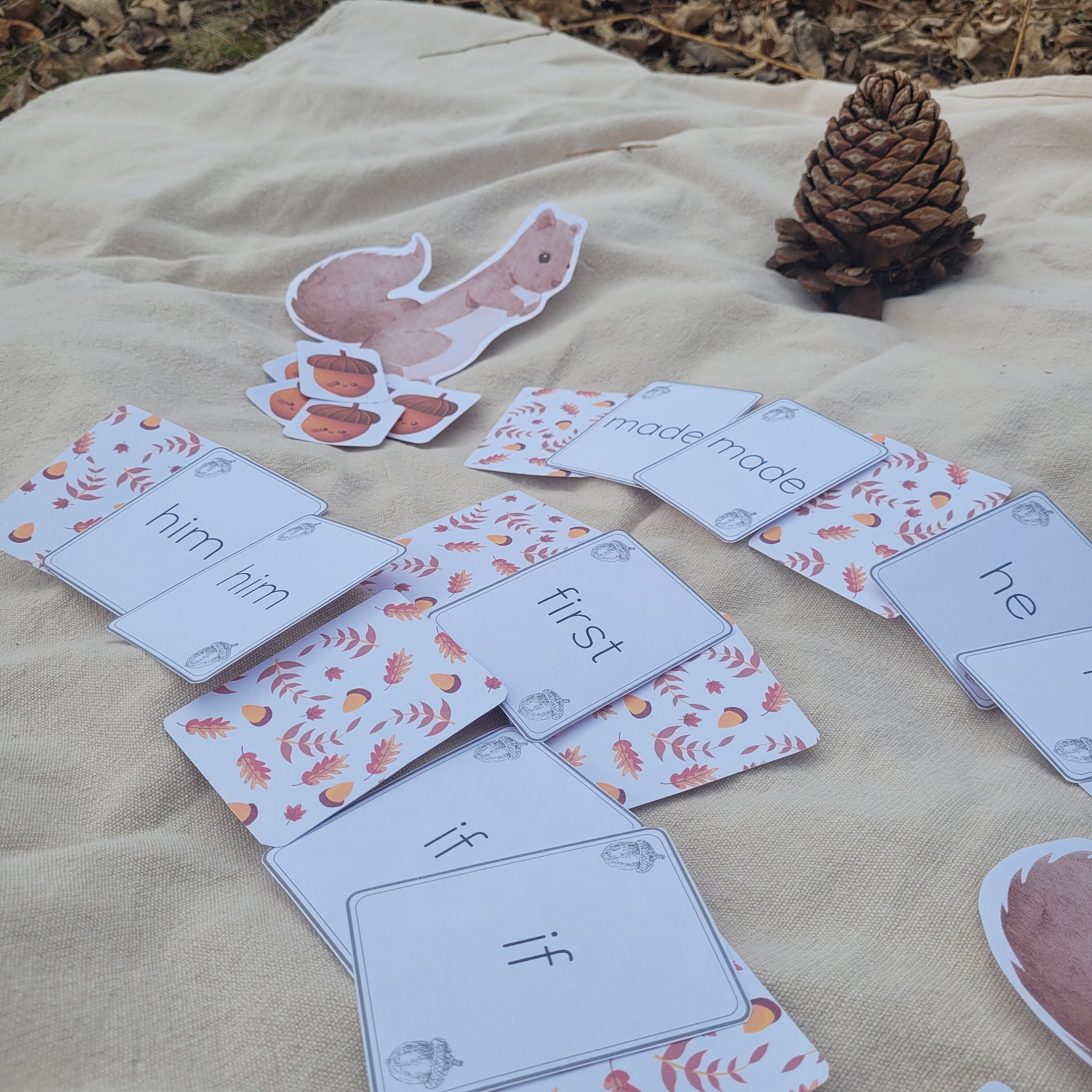 Go Nuts! Level 1 Sight Word Card Game | Fry First 100 Words, Printable ...