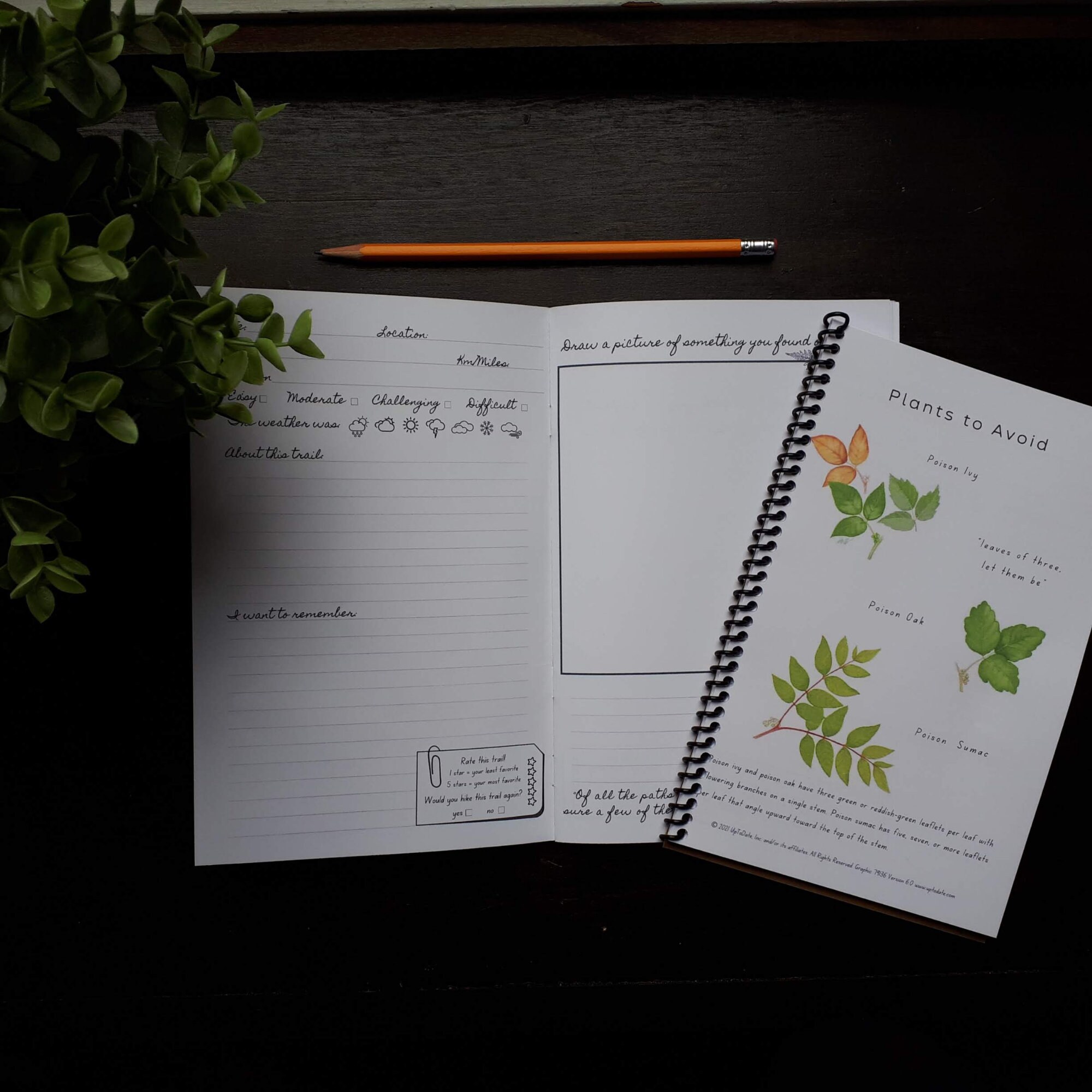 Mi diario de senderismo, CURSIVO, Cuaderno de senderos, Registro de ...