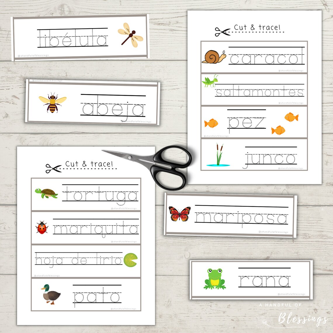 Spanish Five Little Speckled Frogs | Early Years Math, Letter Tracing ...