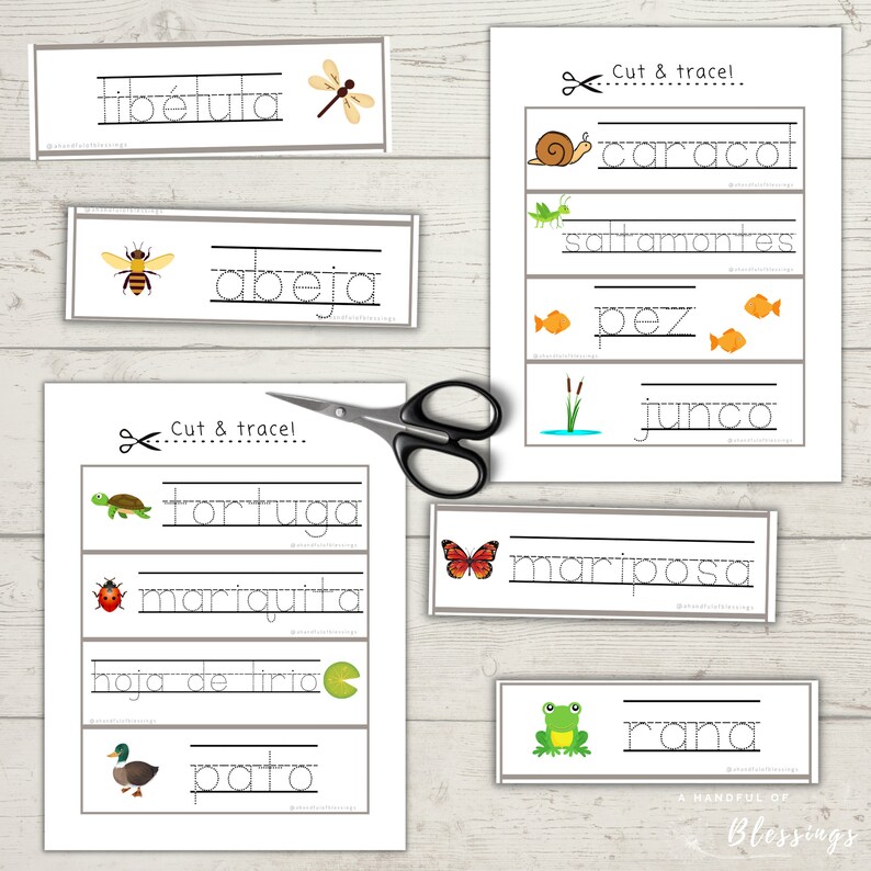 Spanish Five Little Speckled Frogs | Early Years Math, Letter Tracing ...