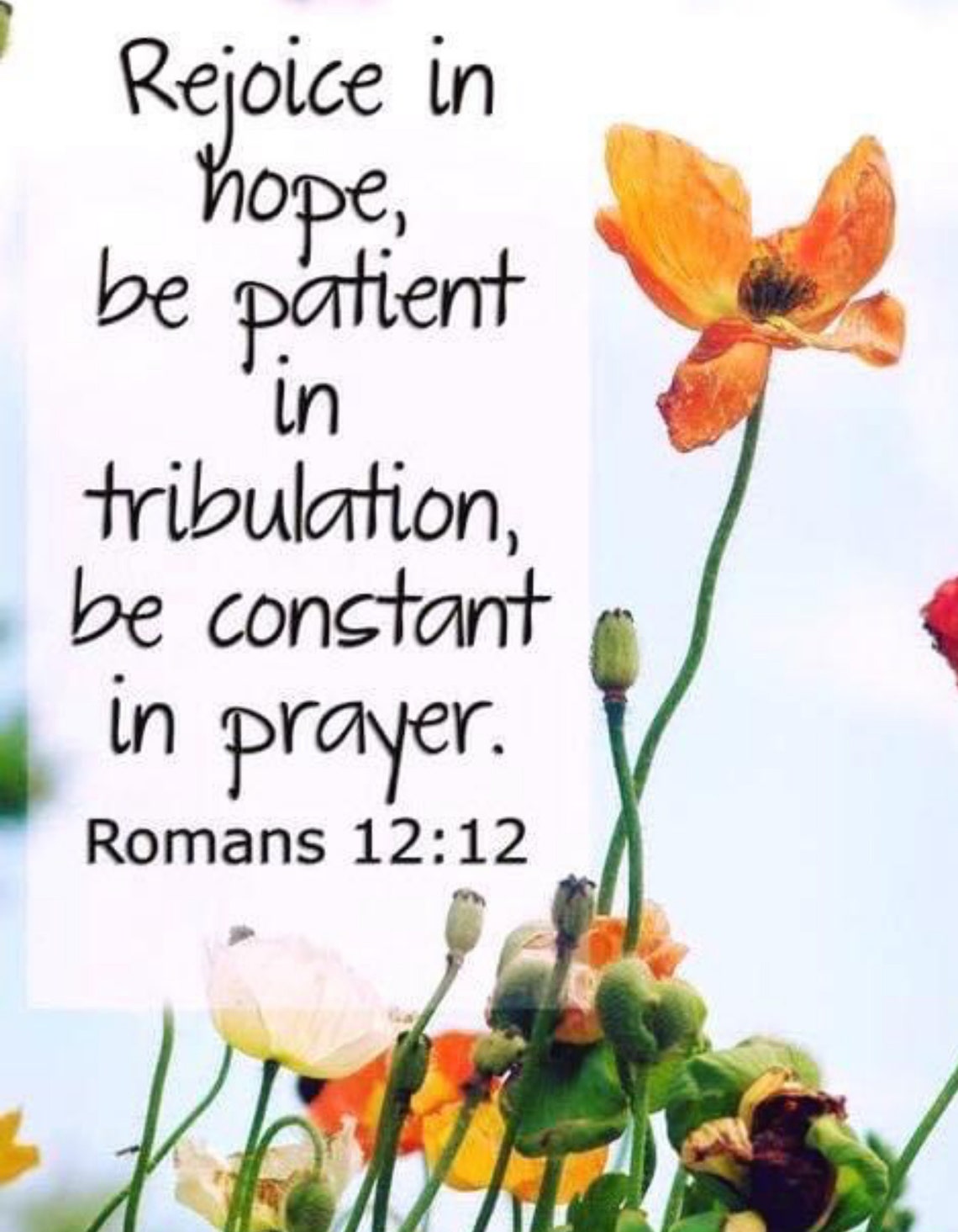 Romans 12:12 Prayer Card Graphic | Download to Print! - Etsy