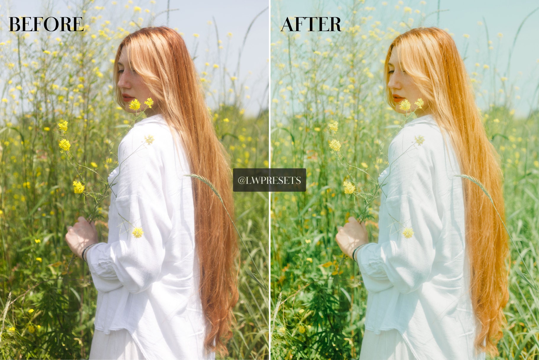 10 Warm Film Lightroom Mobile and Desktop Presets, Analog Presets, VSCO ...