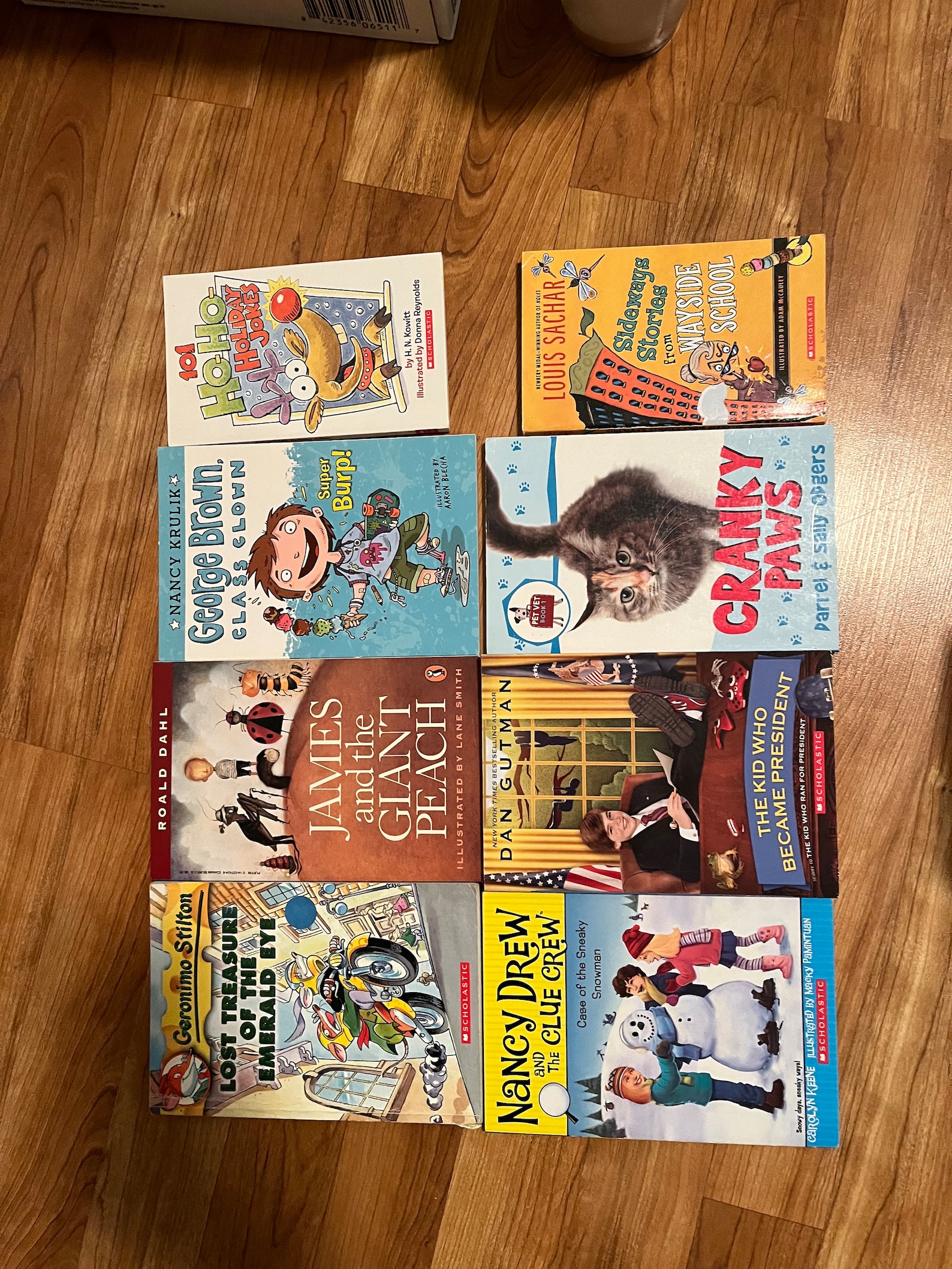 Book Set 20 Chapter Books, Dahl, Nancy Drew, Geronimo - Etsy