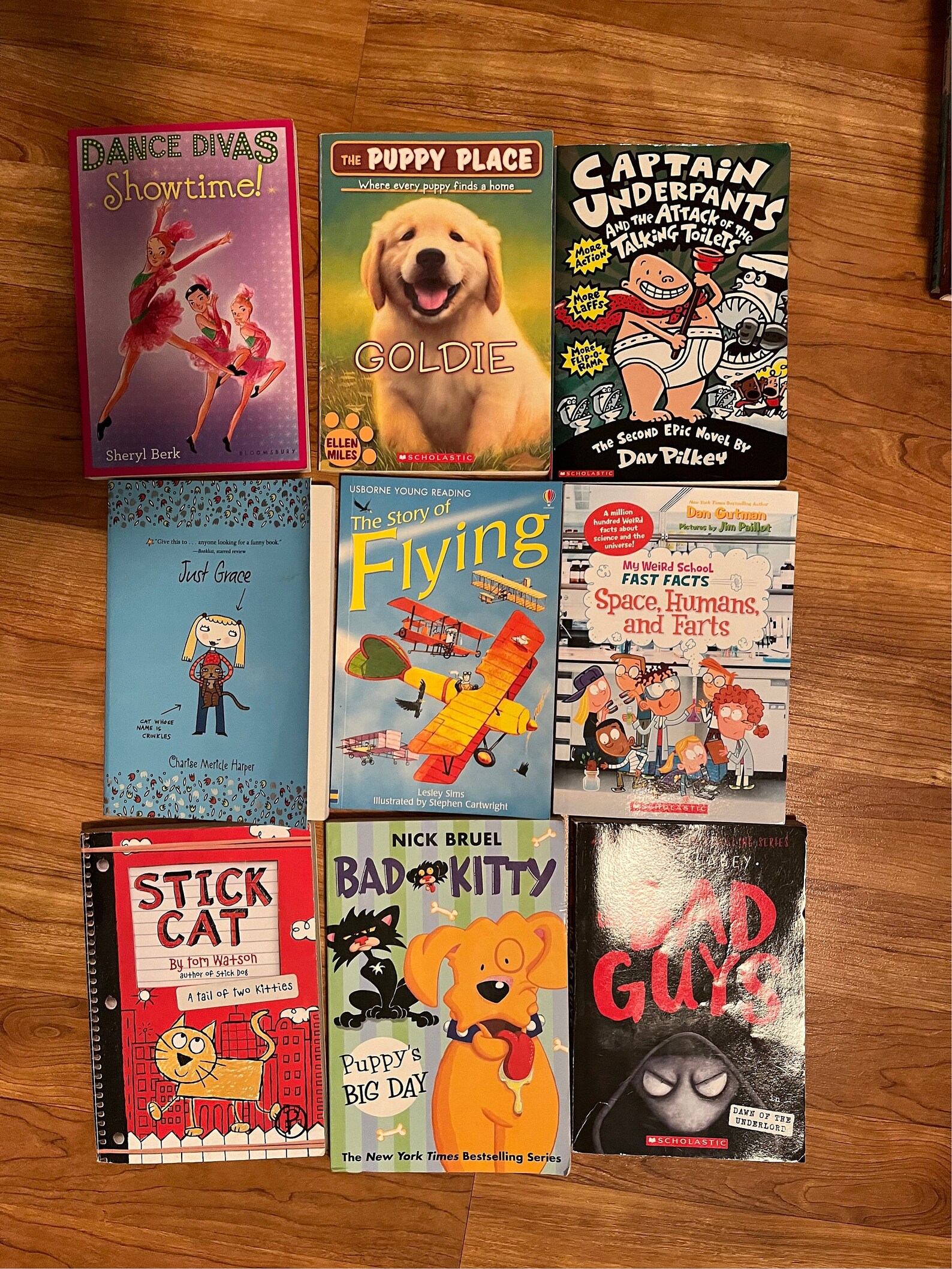 Book Set 20 Chapter Books, Dahl, Nancy Drew, Geronimo - Etsy