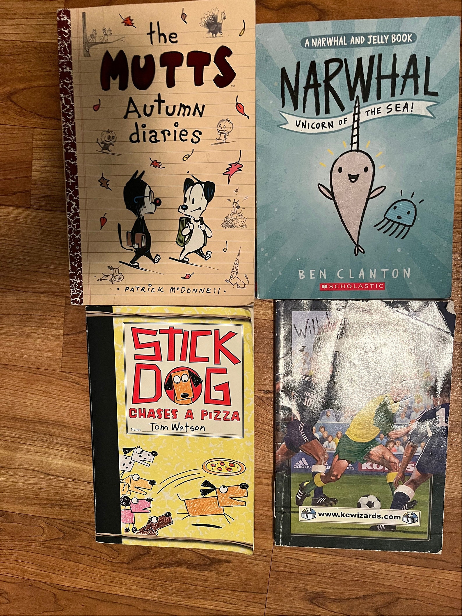 Book Set 20 Chapter Books, Dahl, Nancy Drew, Geronimo - Etsy