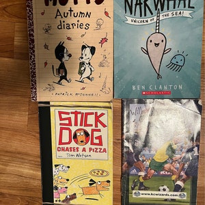 Book Set 20 Chapter Books, Dahl, Nancy Drew, Geronimo - Etsy