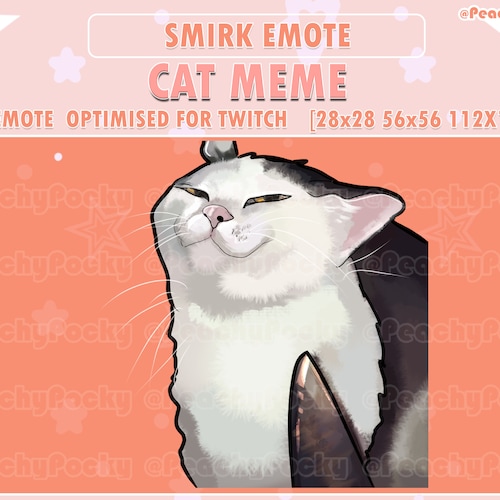 Twitch Emote 10x Cat Meme / Streamer / Youtube / Discord - Etsy