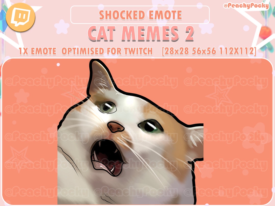 Twitch Emote 1x Cat Twitch Meme Emotes Shock Shook Surprise Cat ...