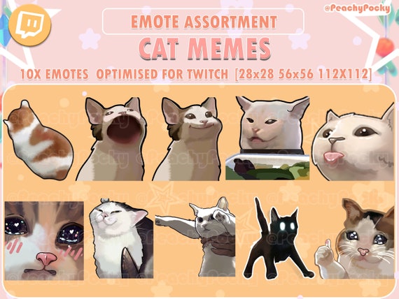 Twitch Emote 10x Cat Meme / Streamer / YouTube / Discord | Etsy