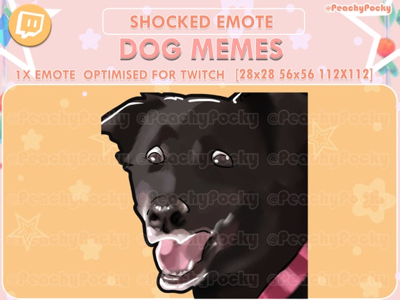 Twitch Emote 1x Shocked Dog Dog Meme Twitch Emotes / - Etsy Australia