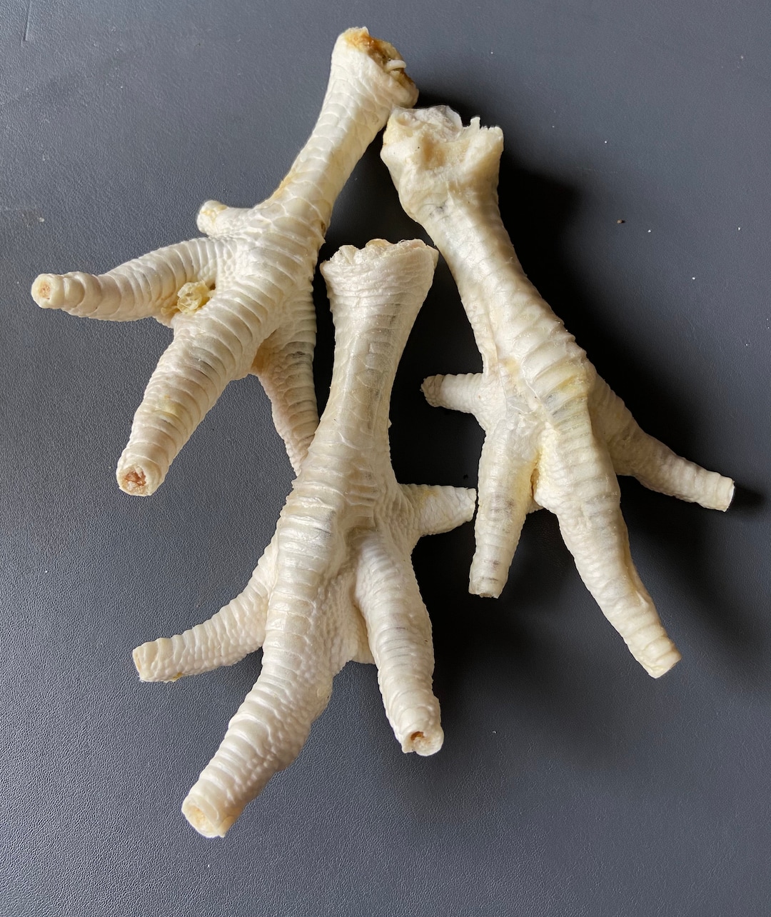 Puffed Chicken Feet Dog Treats: Natural, Long Lasting Dog Chew - Etsy