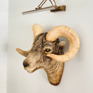 XL Natural Ram Head Wall Mount W/ Large Horns - the XL RAM Sculpture ...