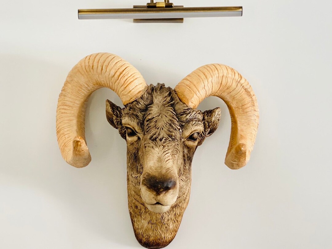 XL Natural Ram Head Wall Mount W/ Large Horns - the XL RAM Sculpture ...