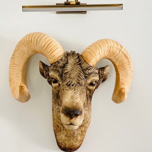 XL Natural Ram Head Wall Mount W/ Large Horns - the XL RAM Sculpture ...