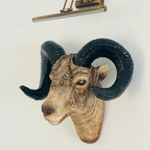 XL Natural Ram Head Wall Mount W/ Large Horns - the XL RAM Sculpture ...