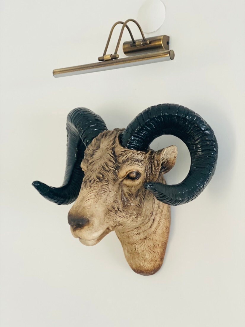 XL Natural Ram Head Wall Mount W/ Large Horns the XL RAM - Etsy