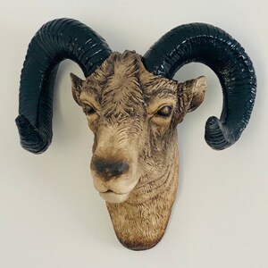 XL Natural Ram Head Wall Mount W/ Large Horns - the XL RAM Sculpture ...