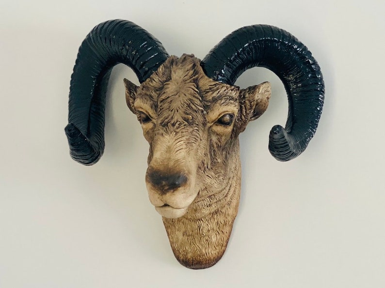 XL Natural Ram Head Wall Mount W/ Large Horns the XL RAM - Etsy