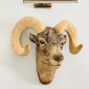 XL Natural Ram Head Wall Mount W/ Large Horns - the XL RAM Sculpture ...