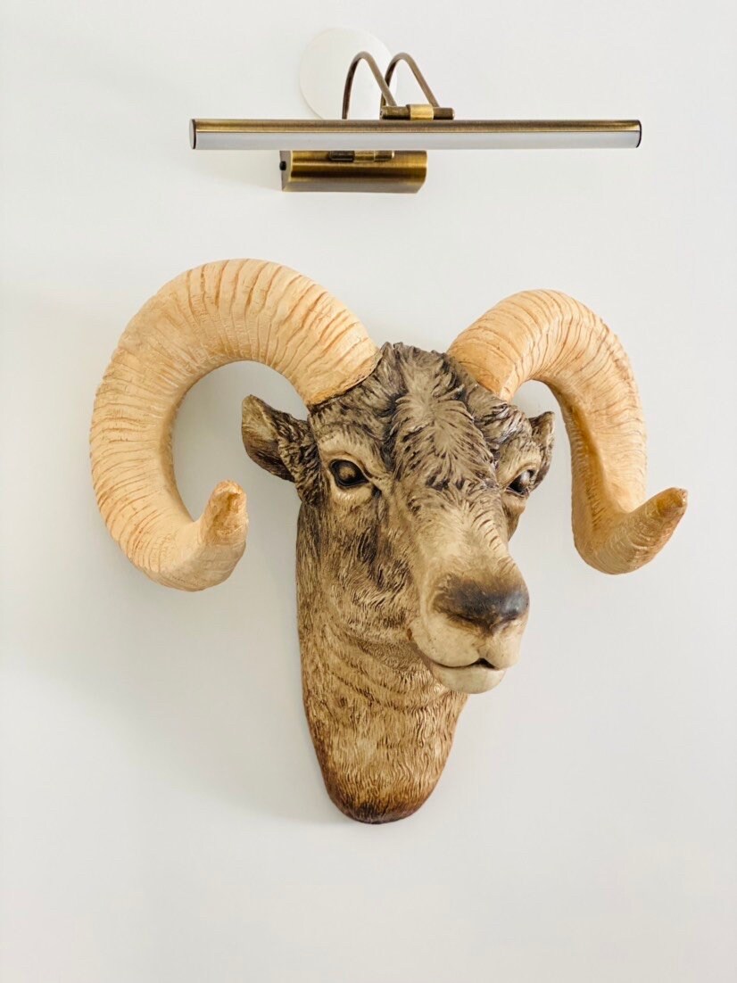 XL Natural Ram Head Wall Mount W/ Large Horns the XL RAM - Etsy