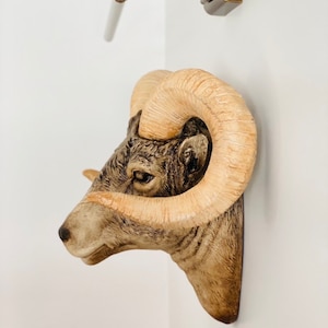 XL Natural Ram Head Wall Mount W/ Large Horns - the XL RAM Sculpture ...