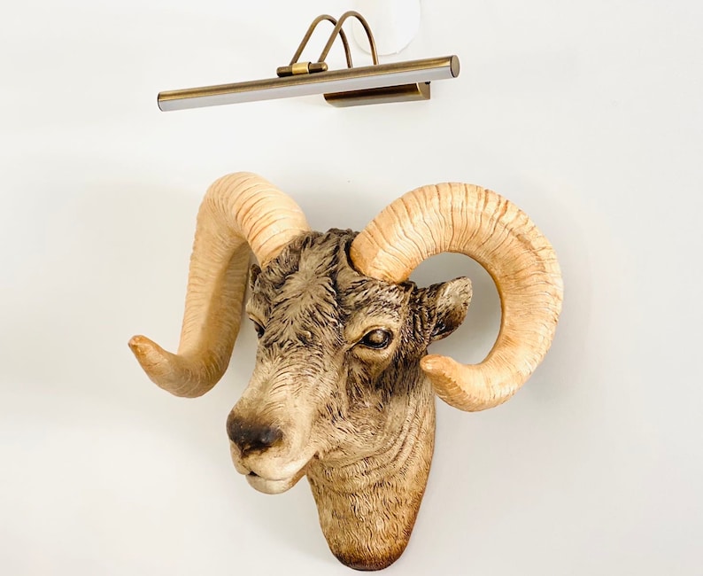 XL Natural Ram Head Wall Mount W/ Large Horns the XL RAM - Etsy