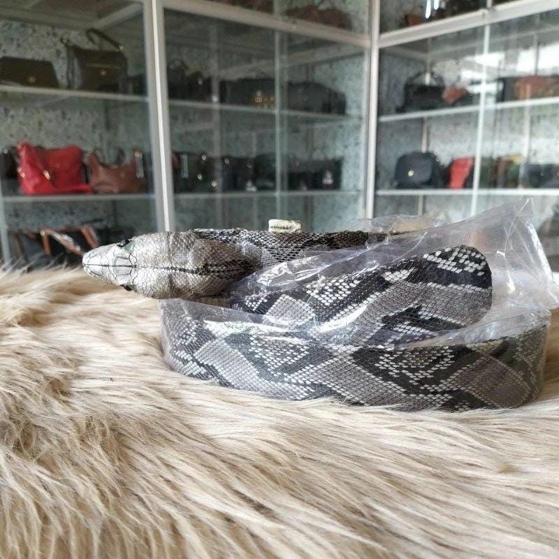 Real Snake Skin - Etsy