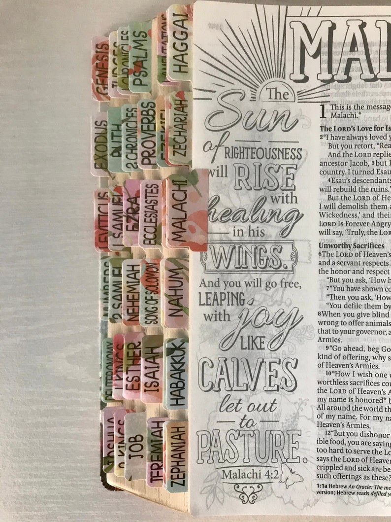 Bible Tabs Pink Floral Laminated Bible Tabs Bible Journaling Etsy bible-tabs-pink-floral-laminated-bible-tabs-bible-journaling-etsy