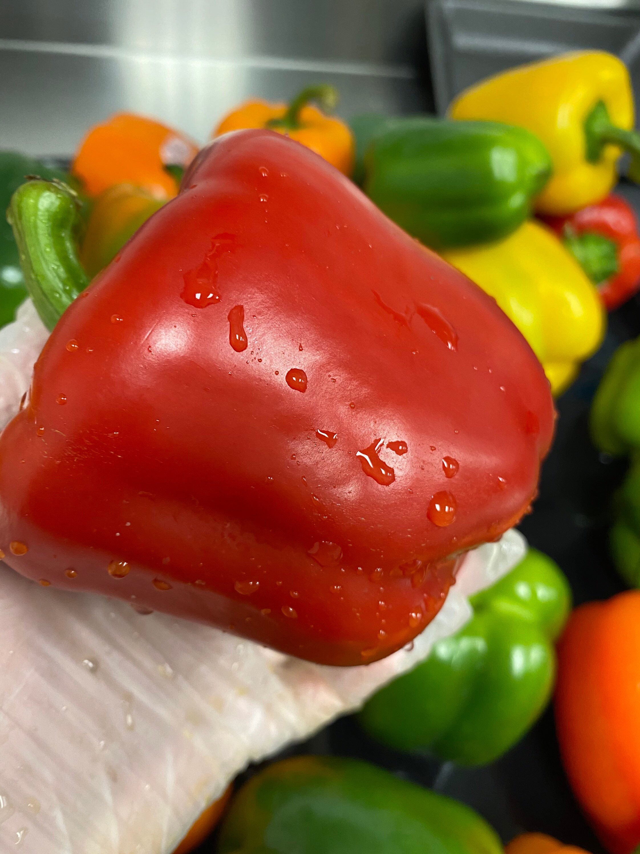 Bell Pepper- Mix Blending Colors (120 Seeds) - Etsy