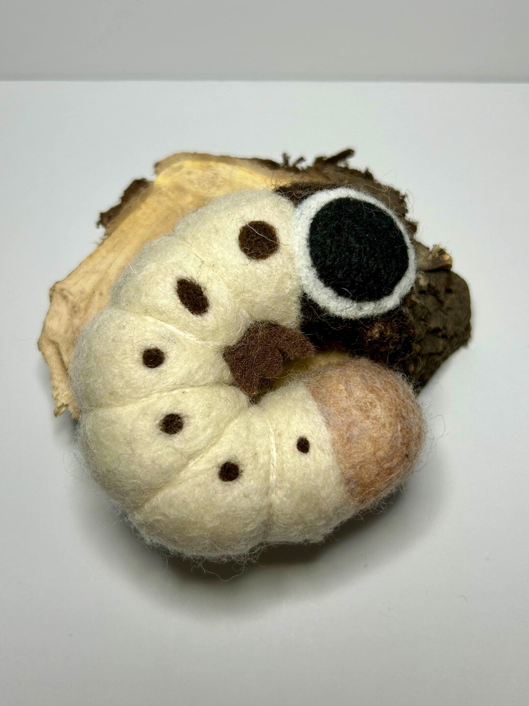 Needlefelted Grub Felted Bug Insect Cute Funny Creepy Crawlies - Etsy