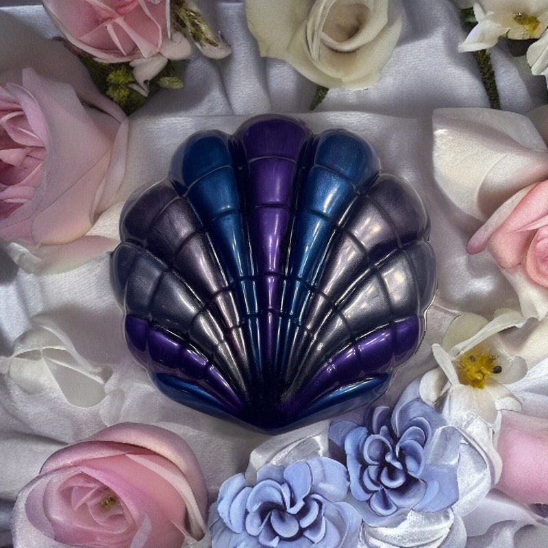 Seashell Jewelry Box - Etsy