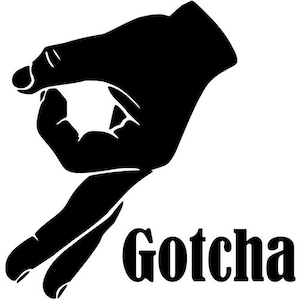 Gotcha - Etsy