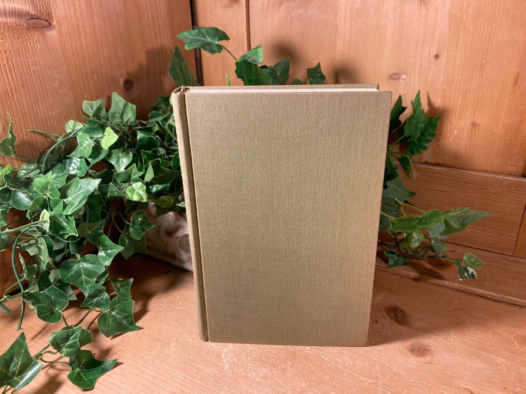 Vintage the Friendly Beast Hardcover Book | Latest Discoveries in ...