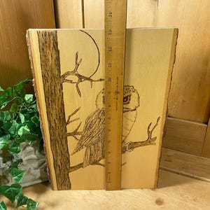Vintage Hardcover Pyrography Book Owl Wood Art Vintage HC Owl Book ...