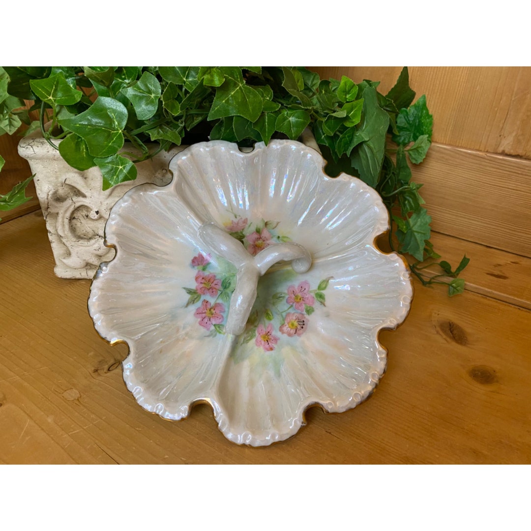 Hand-painted Limoges Divided Dish Vintage French Relish Dish - Etsy